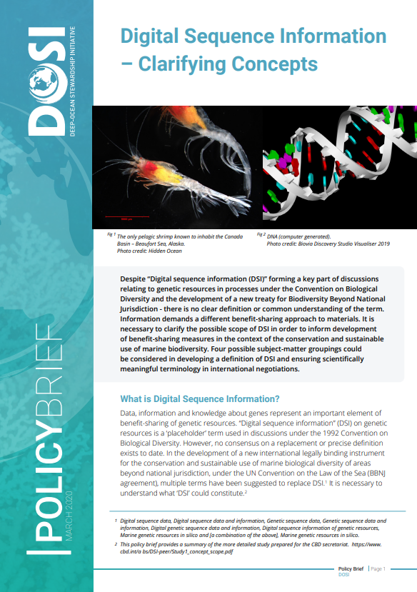 Policy Briefs – DOSI