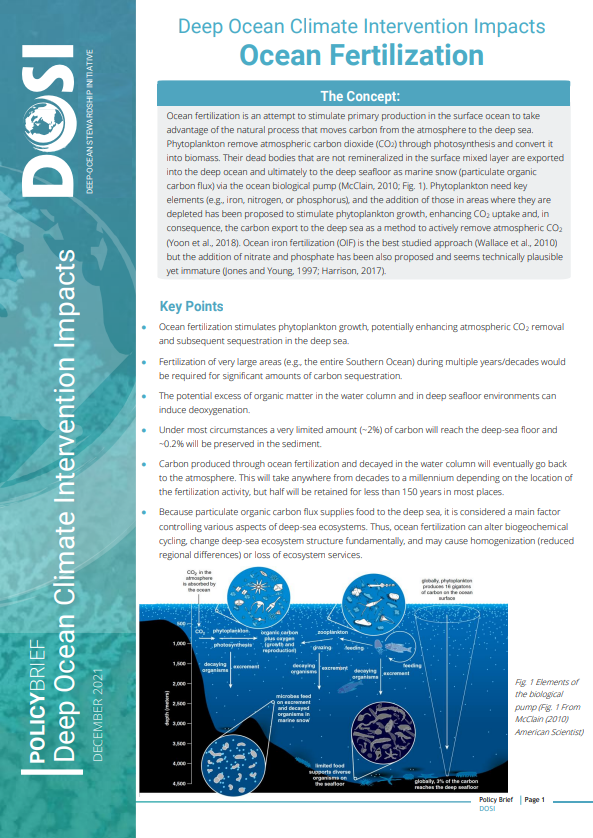 Policy Briefs – DOSI