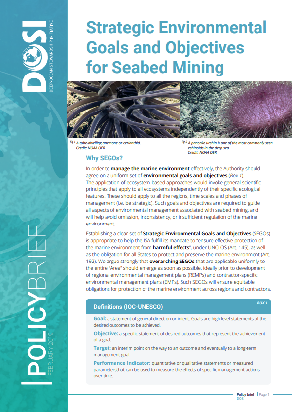 Policy Briefs – DOSI